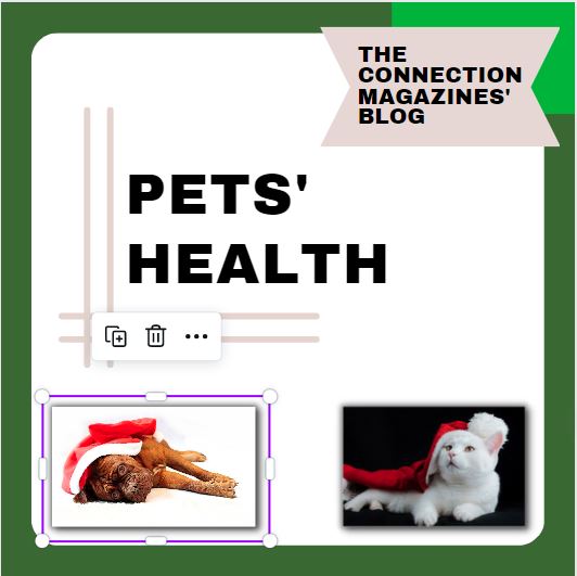 PETS’ HEALTH: An Ounce of Prevention is Always Worth a Pound of Cure ...